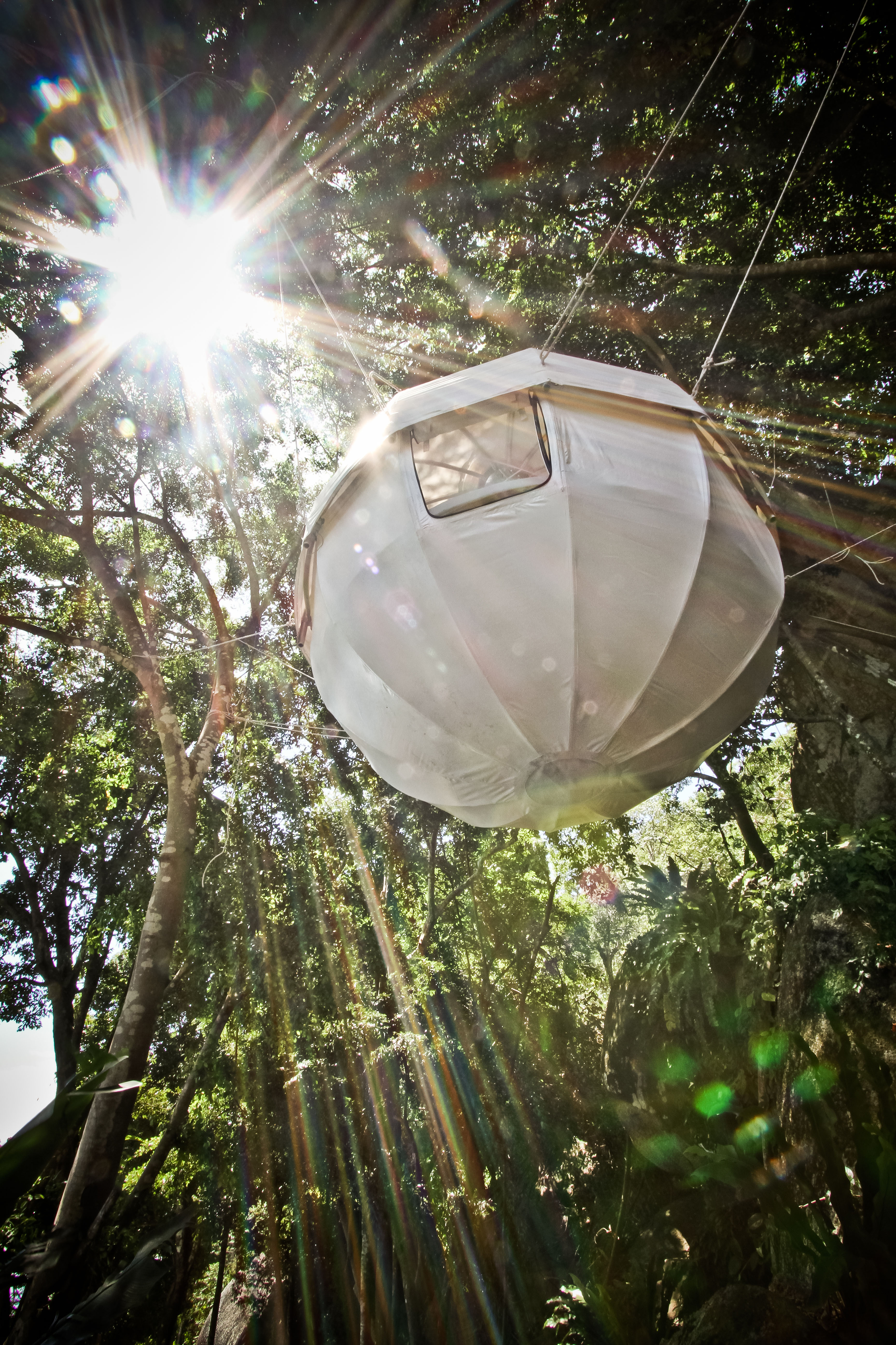 Cocoon, un nido es una casa suspendida de un árbol | Experimenta