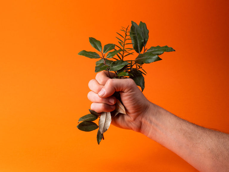 Native: las refrescantes hierbas carbonatadas de Ben Galbraith ...