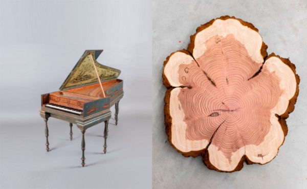 Diseño, madera y sostenibilidad en el el Museo del Diseño de Barcelona ...