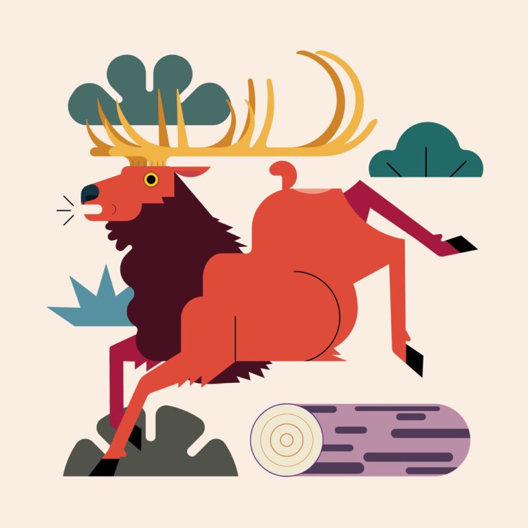 La ilustración «animalista» de George Tonks. Geometría, color y ...