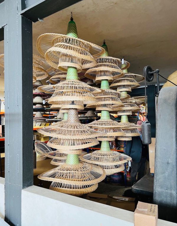 10 años de luz: Pet Lamp cumple 10 años y lo festeja a lo grande ...