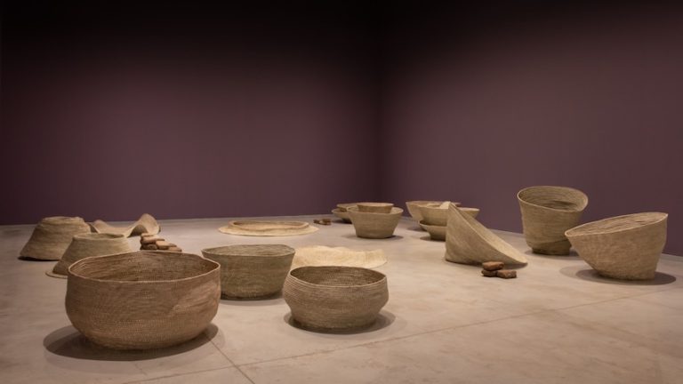 Claudia Santanera y la palma caranday. Escribir con fibra | Experimenta