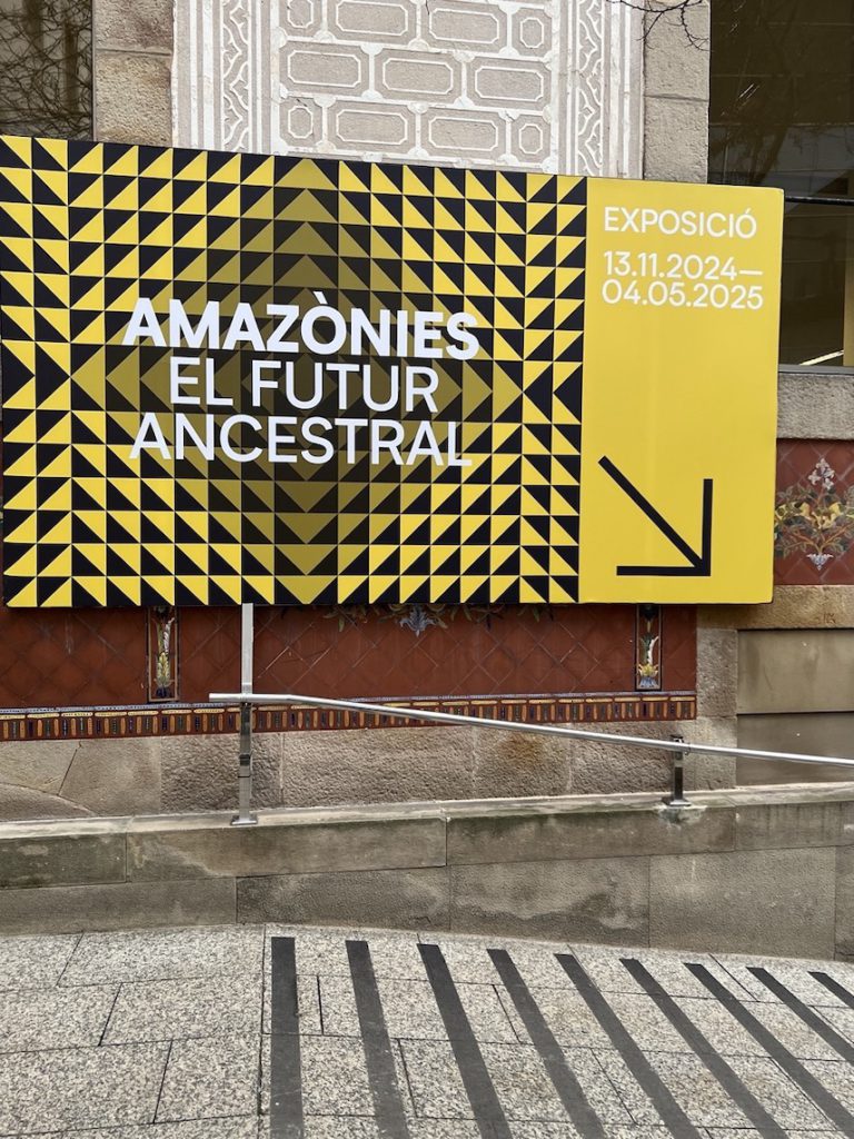 Amazonias. El futuro ancestral: contundente y bello testimonio sobre la ...