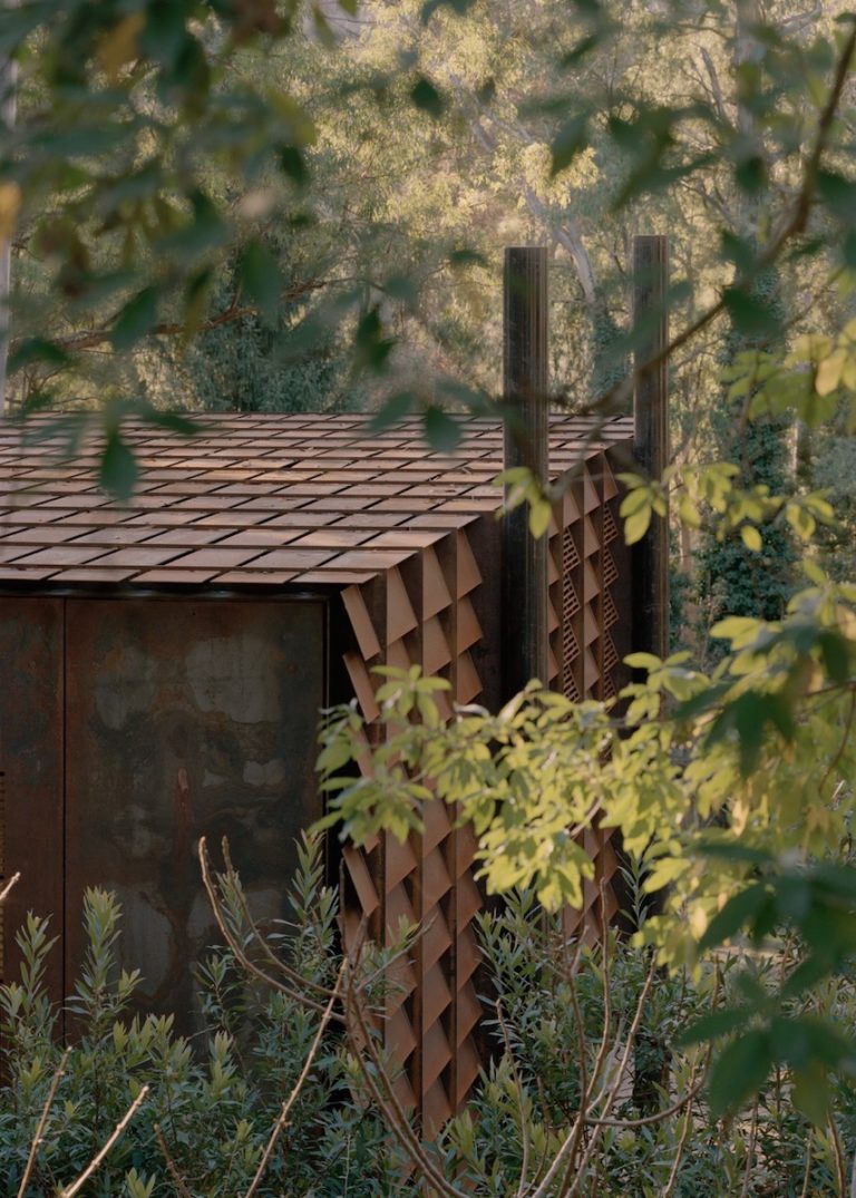Sawmill, la «casita» del arbol de Robbie Walker en los antiguos bosques ...