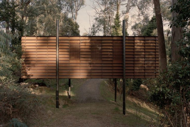 Sawmill, la «casita» del arbol de Robbie Walker en los antiguos bosques ...