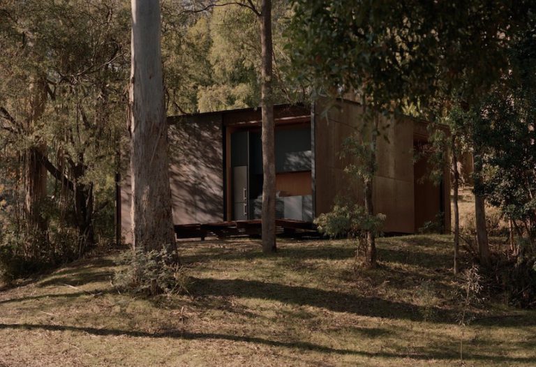 Sawmill, la «casita» del arbol de Robbie Walker en los antiguos bosques ...